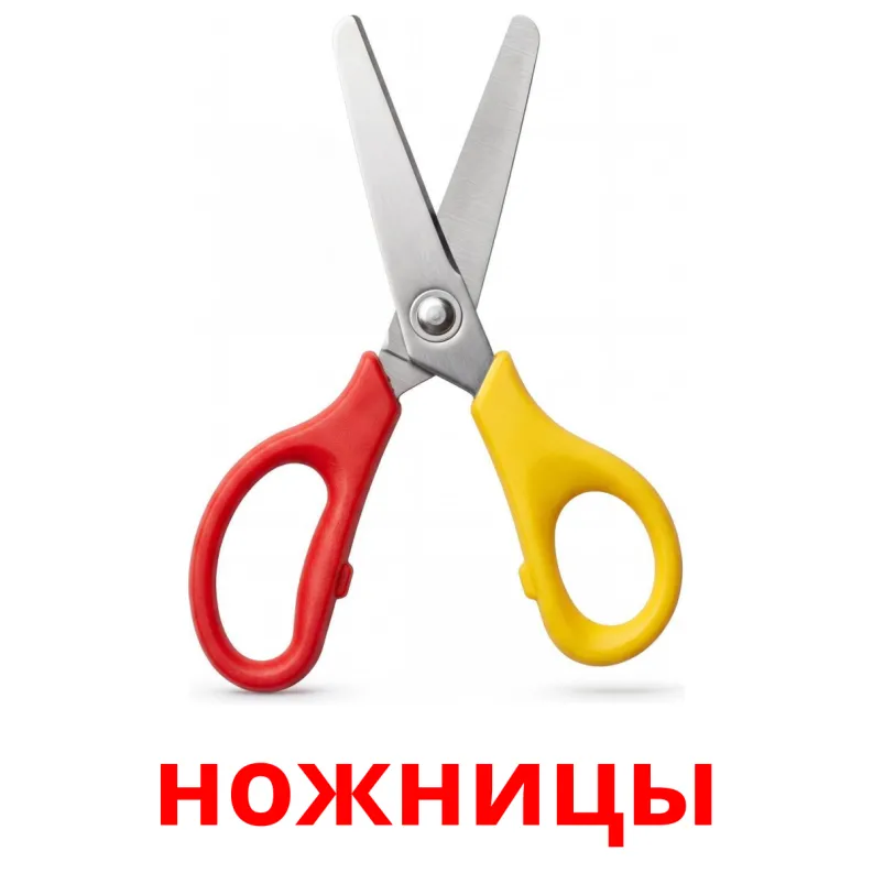36 FREE Classroom objects Flashcards | PDF | Russian Words