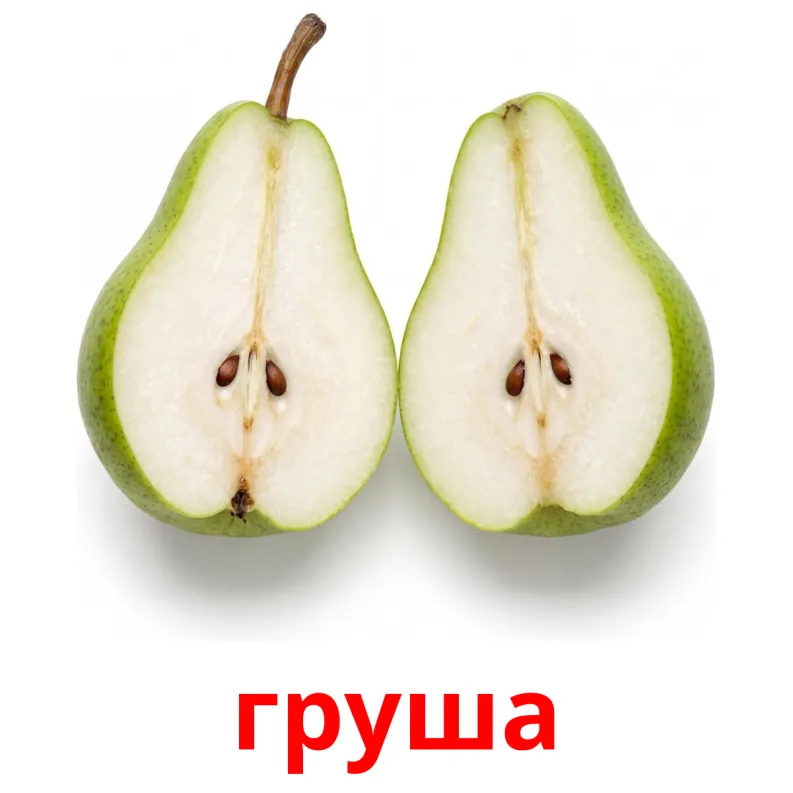 20 FREE Fruits Flashcards | PDF | Russian Words