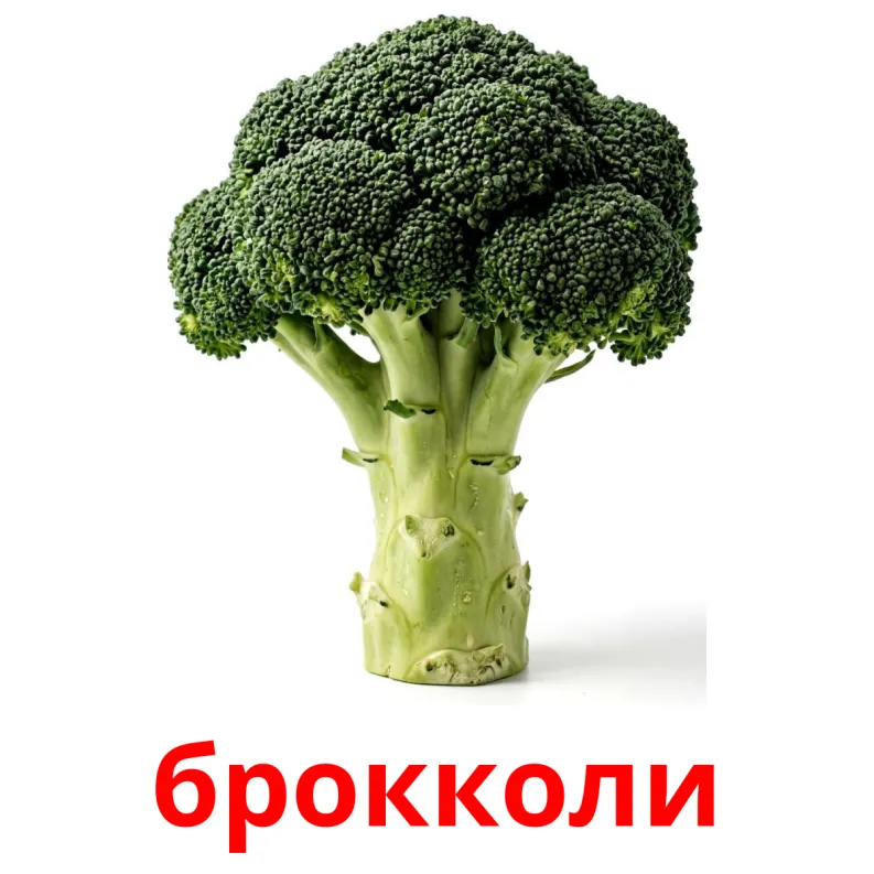60 FREE Russian Food Flashcards | PDF