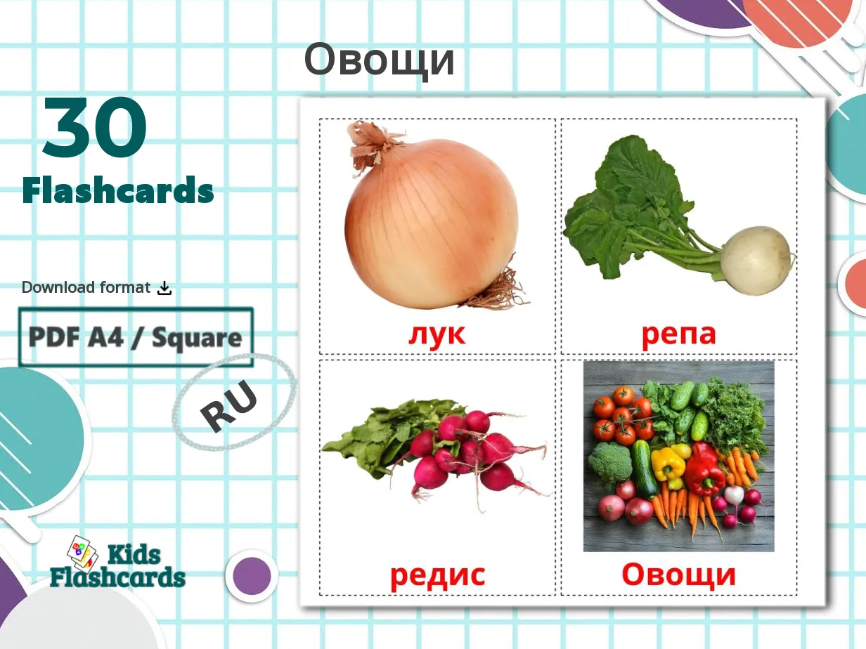 30 Printable Vegetables Flashcards in Russian (Free PDF)