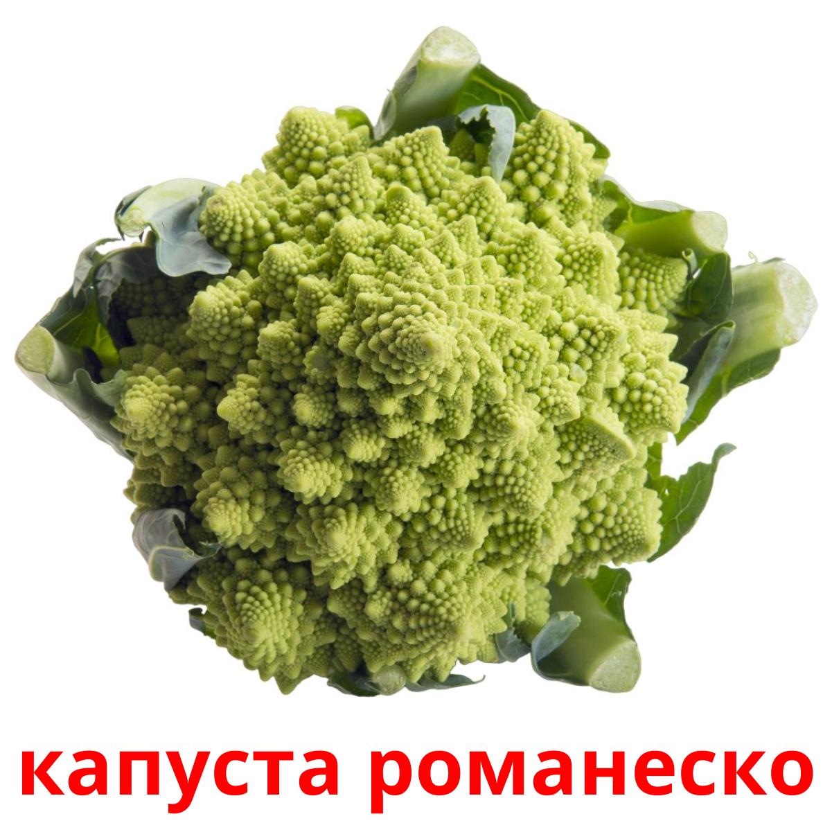 30 Printable Vegetables Flashcards in Russian (Free PDF)