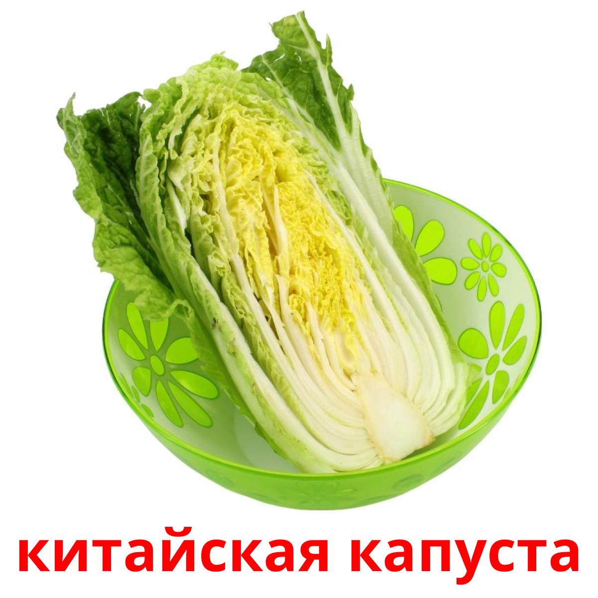 30 Printable Vegetables Flashcards in Russian (Free PDF)