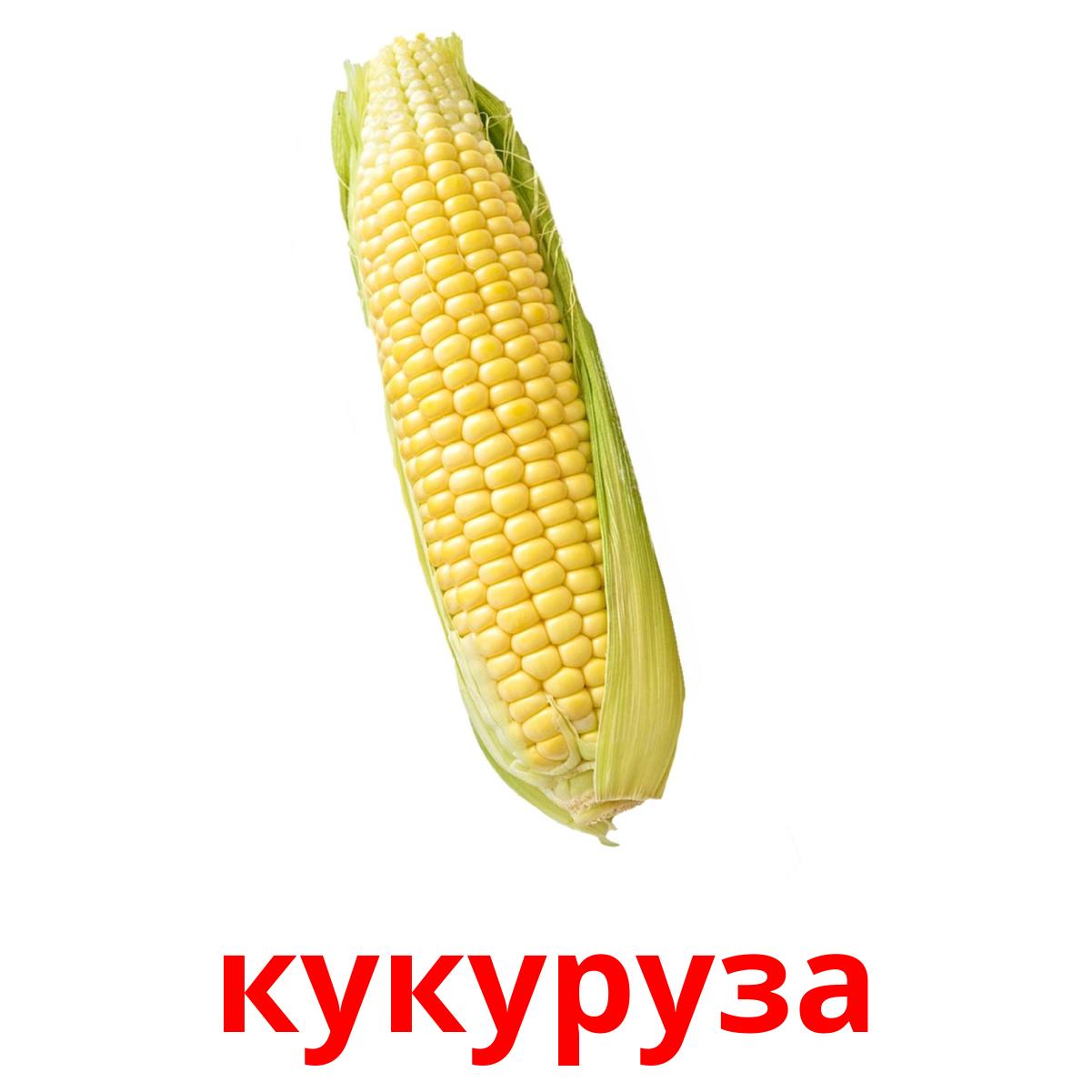 30 Printable Vegetables Flashcards in Russian (Free PDF)