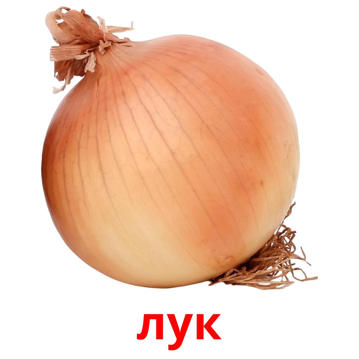 30 Printable Vegetables Flashcards in Russian (Free PDF)