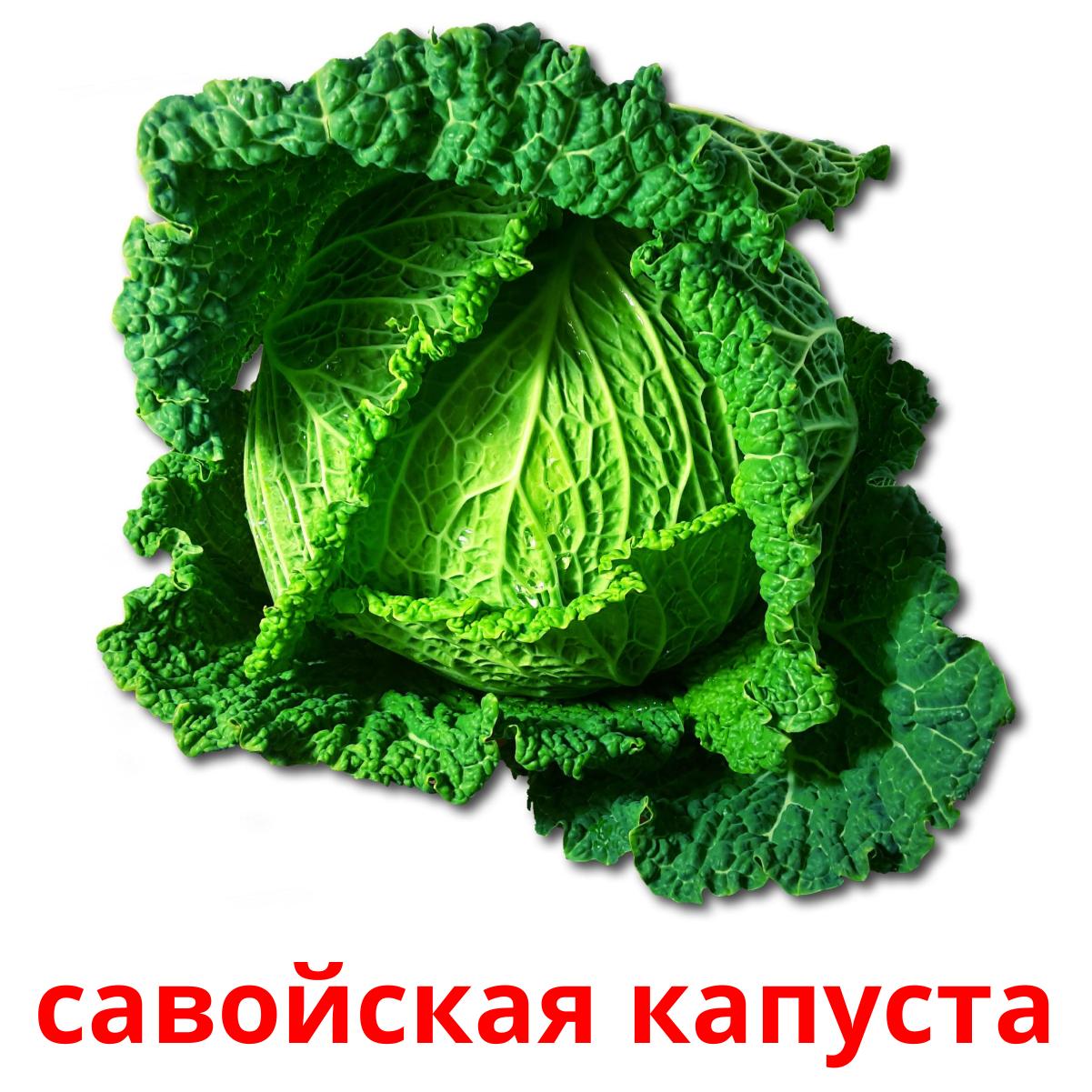 30 Printable Vegetables Flashcards in Russian (Free PDF)