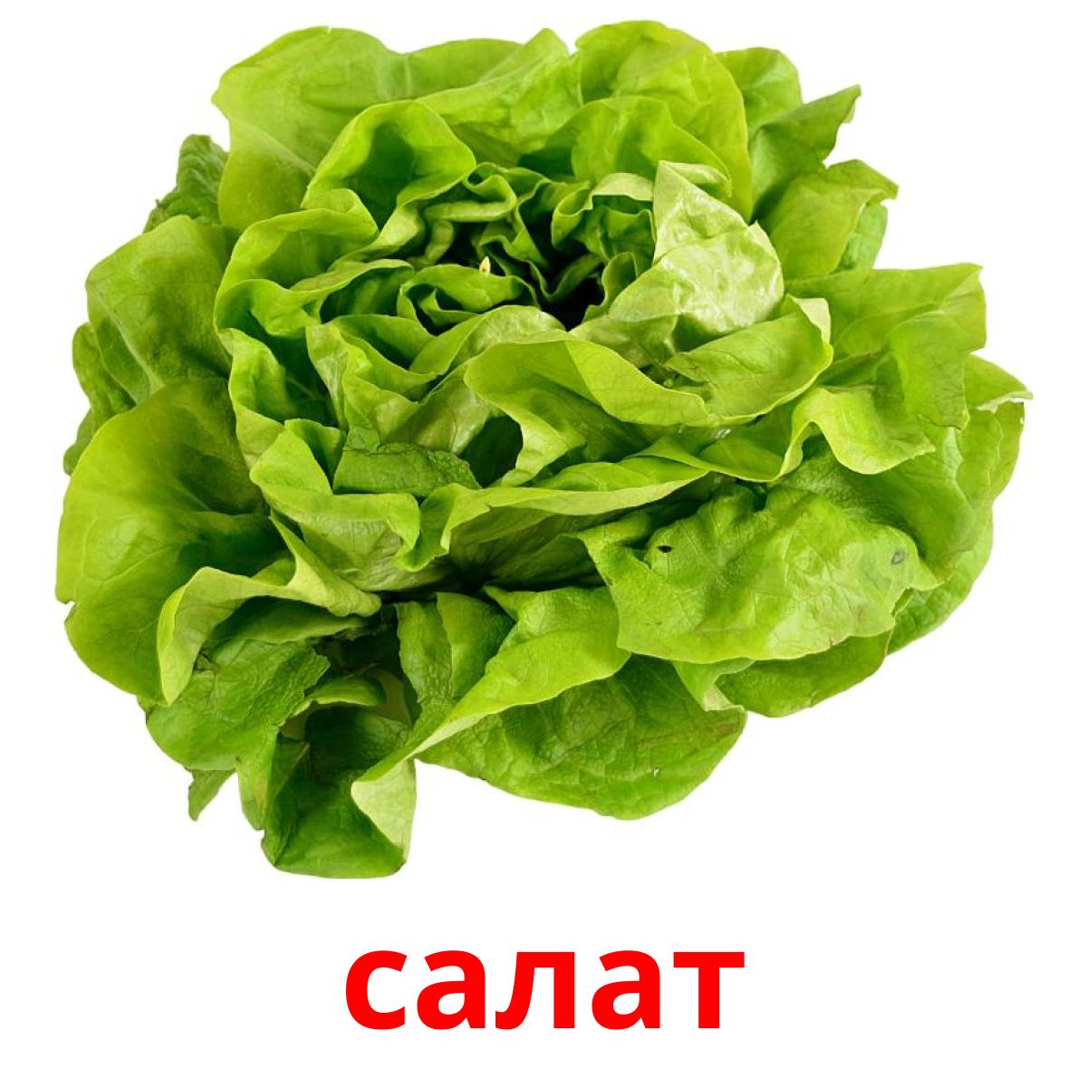 30 Printable Vegetables Flashcards in Russian (Free PDF)