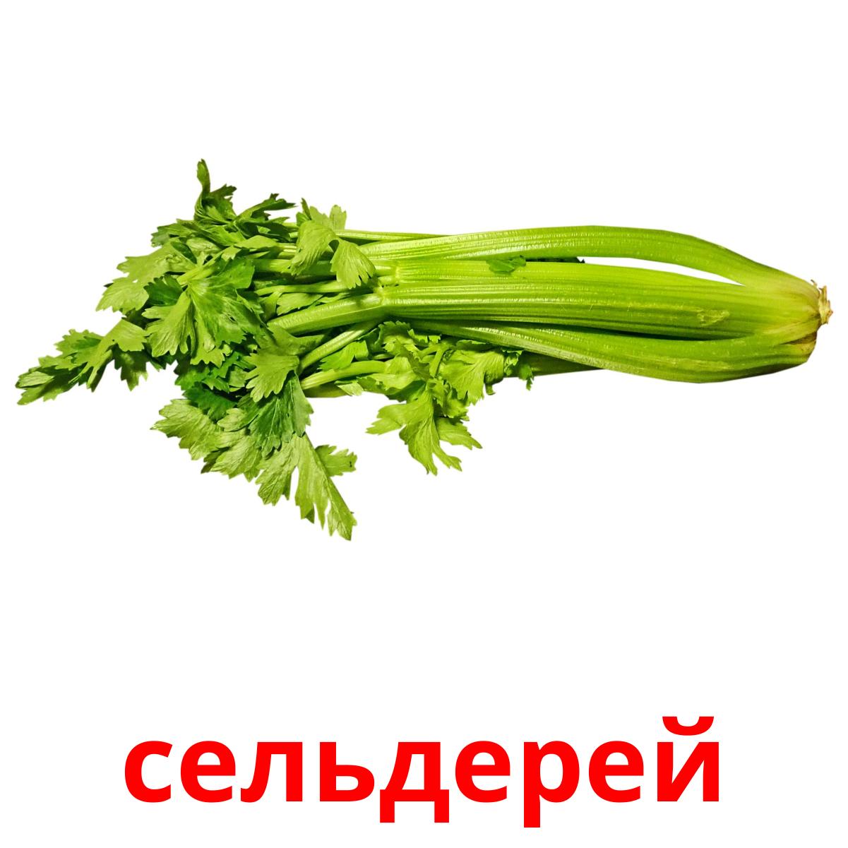 30 Printable Vegetables Flashcards in Russian (Free PDF)
