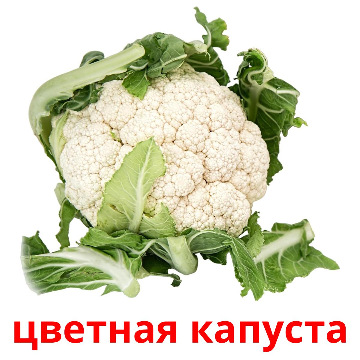 30 Printable Vegetables Flashcards in Russian (Free PDF)