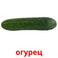 30 Printable Vegetables Flashcards in Russian (Free PDF)