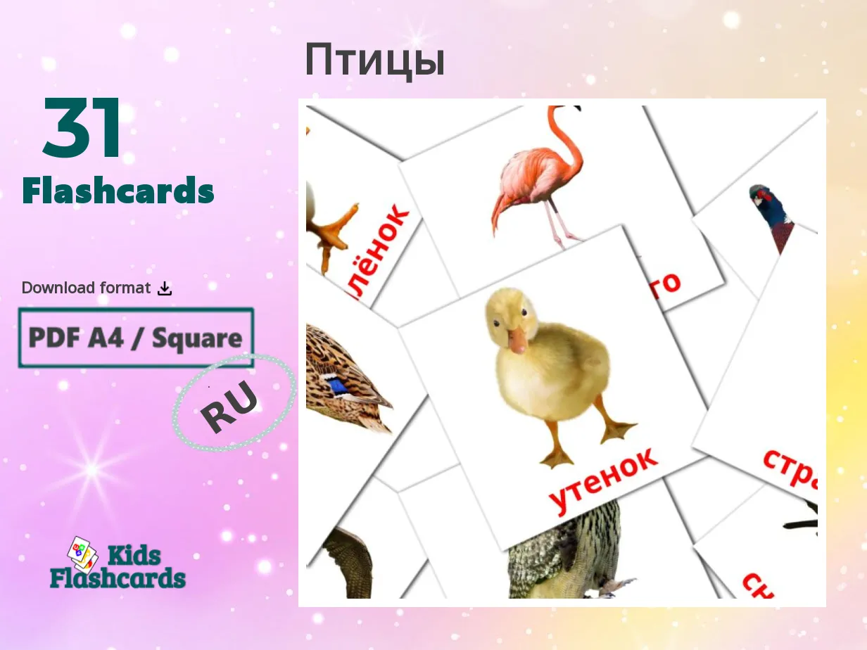 31 FREE Russian Birds Flashcards | PDF