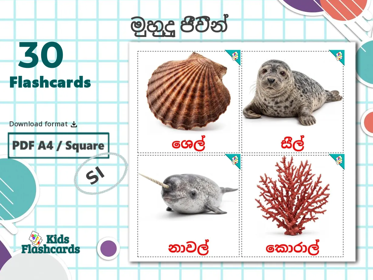 30 GRATIS Billedkort om Havdyr i 4 PDF-formater | Billeder på Sinhala