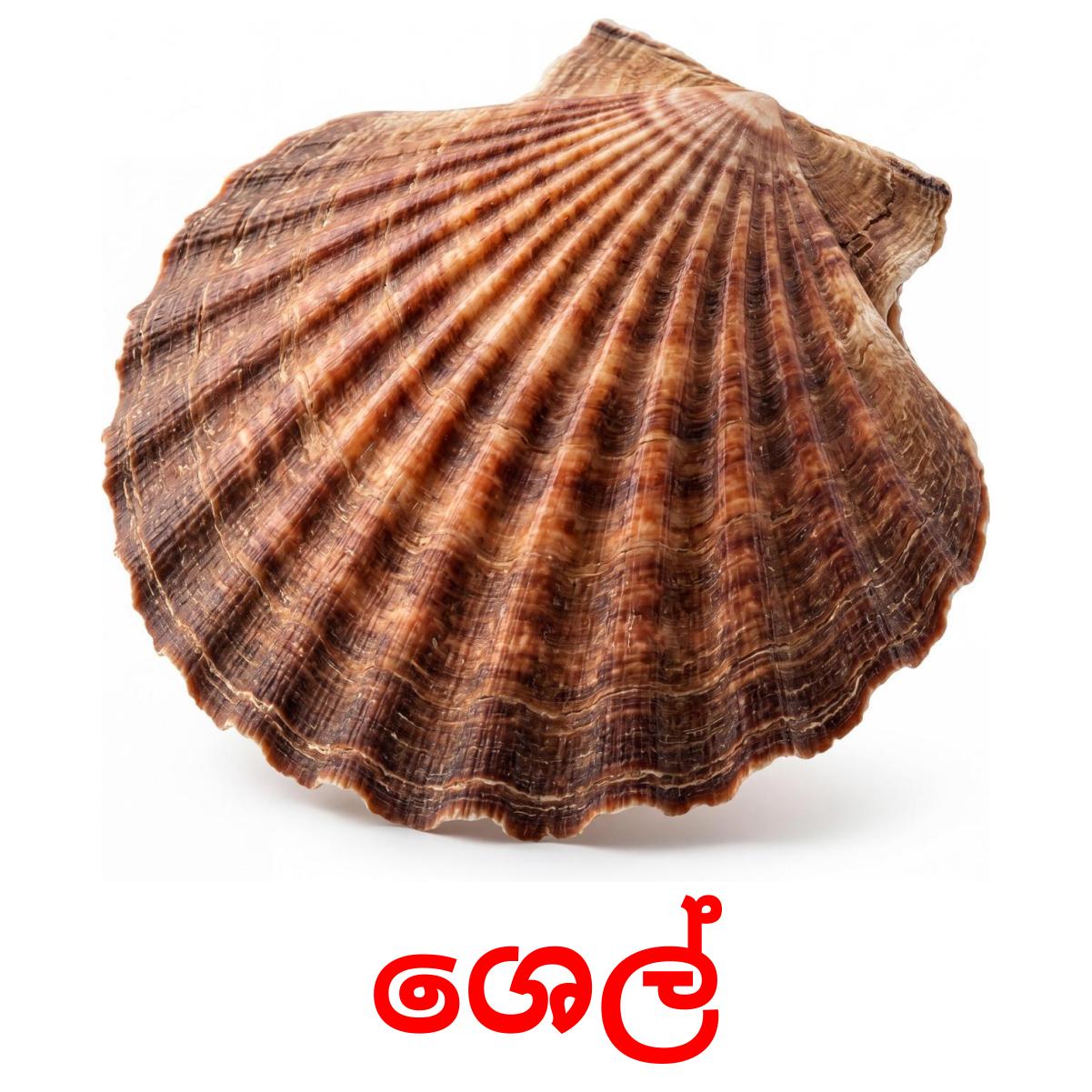 30 Printable Sea animals Flashcards in Sinhala (Free PDF)