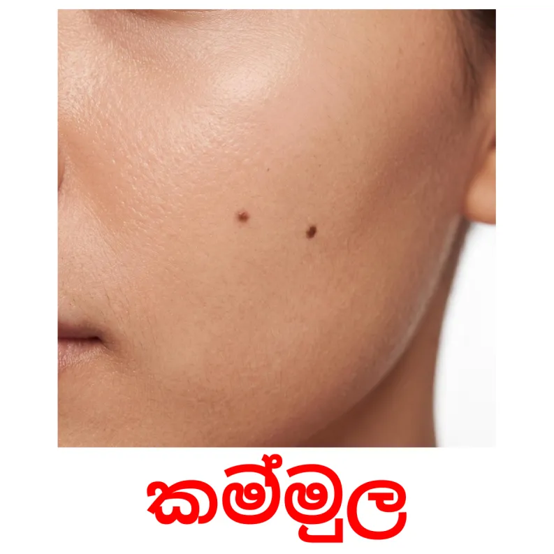 20 Face Flashcards in PDF | Sinhala Pictures