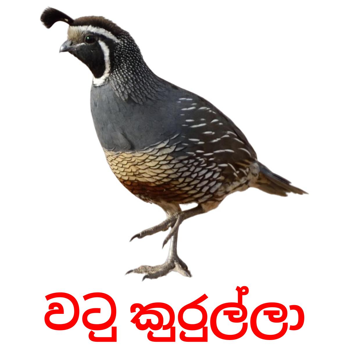 12 Printable Farm birds Flashcards in Sinhala (Free PDF)