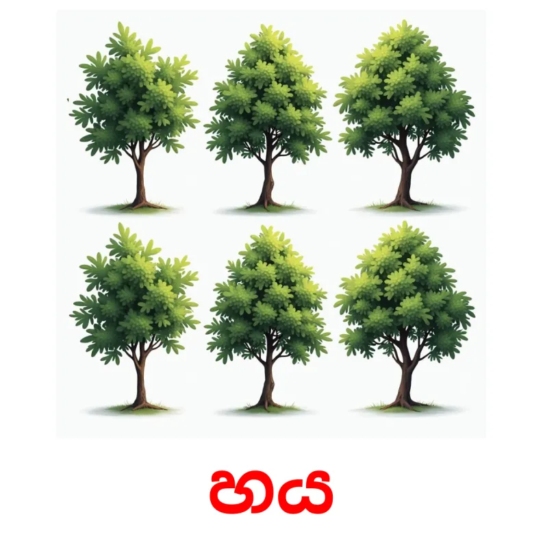 10 FREE Counting Flashcards | PDF | Sinhala Words