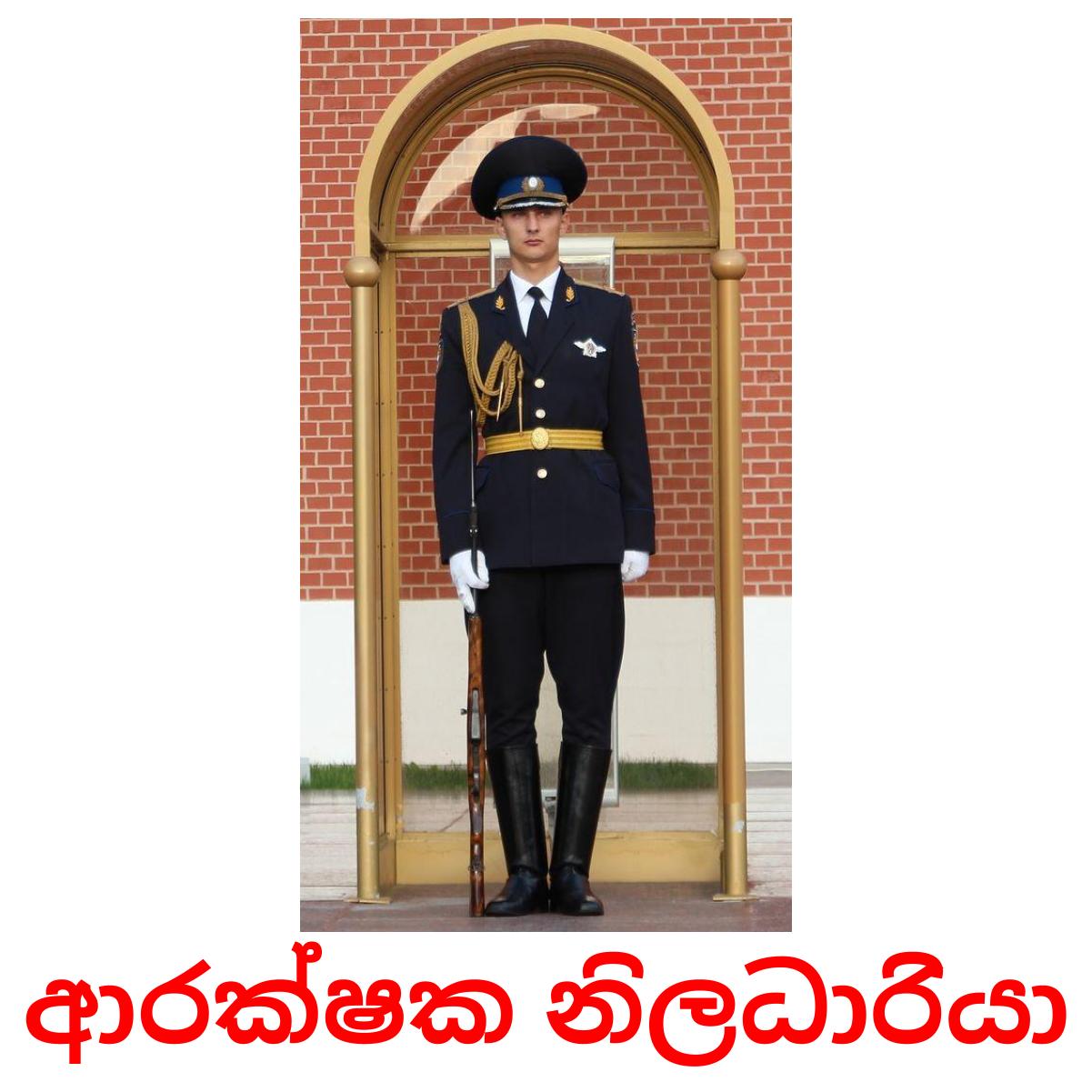 48 Printable Jobs and Occupations Flashcards in Sinhala (Free PDF)