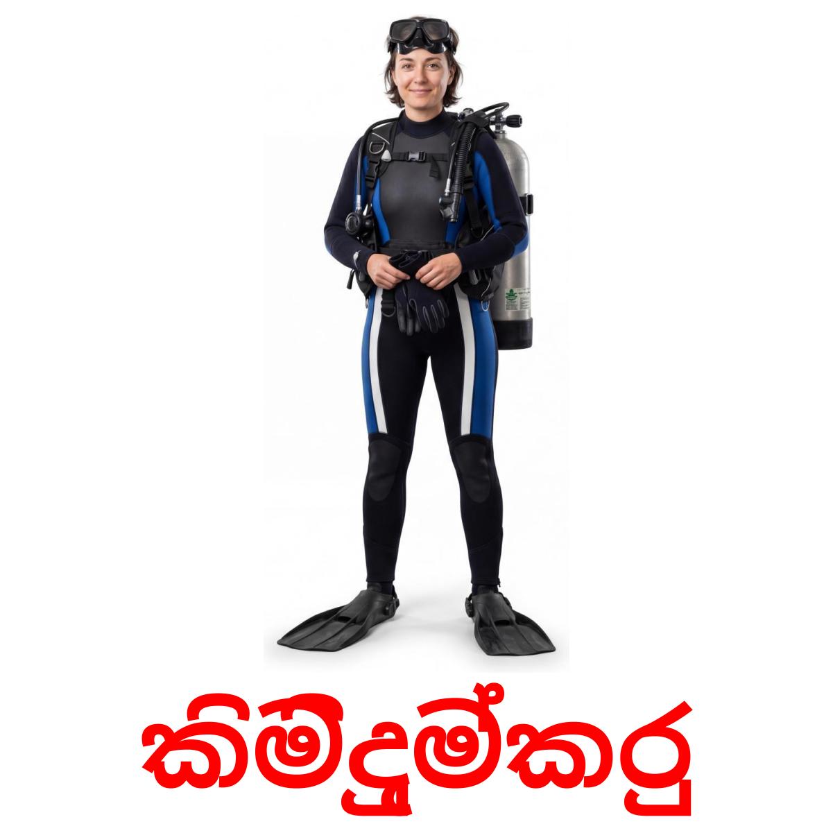 48 Printable Jobs and Occupations Flashcards in Sinhala (Free PDF)