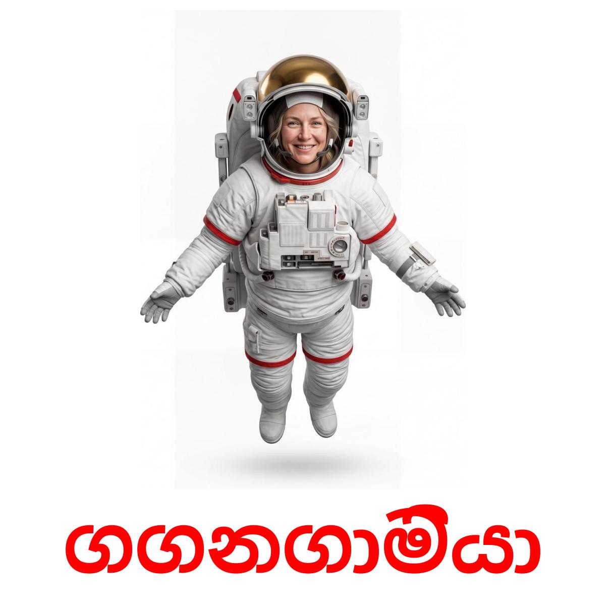 48 Printable Jobs and Occupations Flashcards in Sinhala (Free PDF)