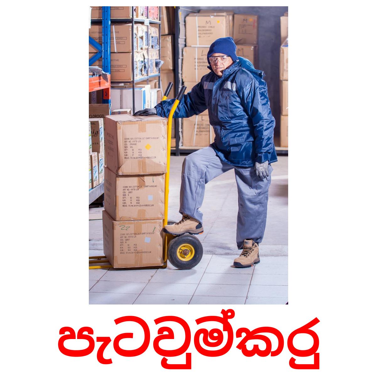 48 Printable Jobs and Occupations Flashcards in Sinhala (Free PDF)