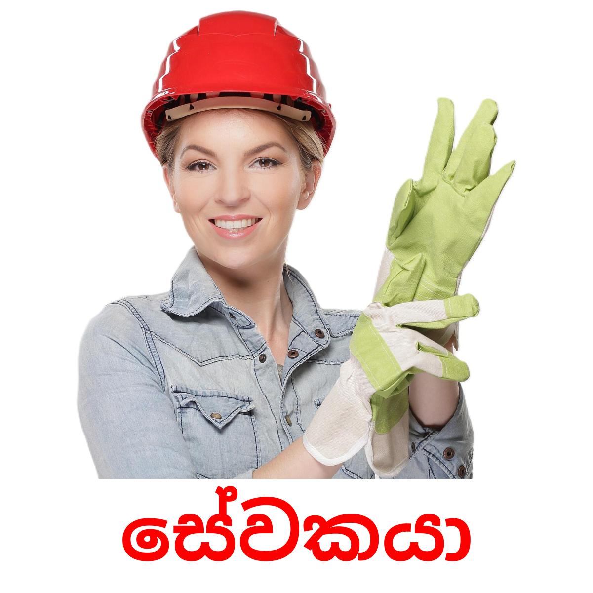 48 Printable Jobs and Occupations Flashcards in Sinhala (Free PDF)