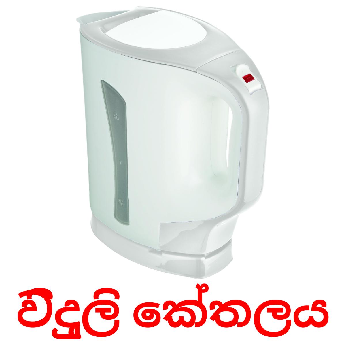 33 Printable Electronics Flashcards in Sinhala (Free PDF)