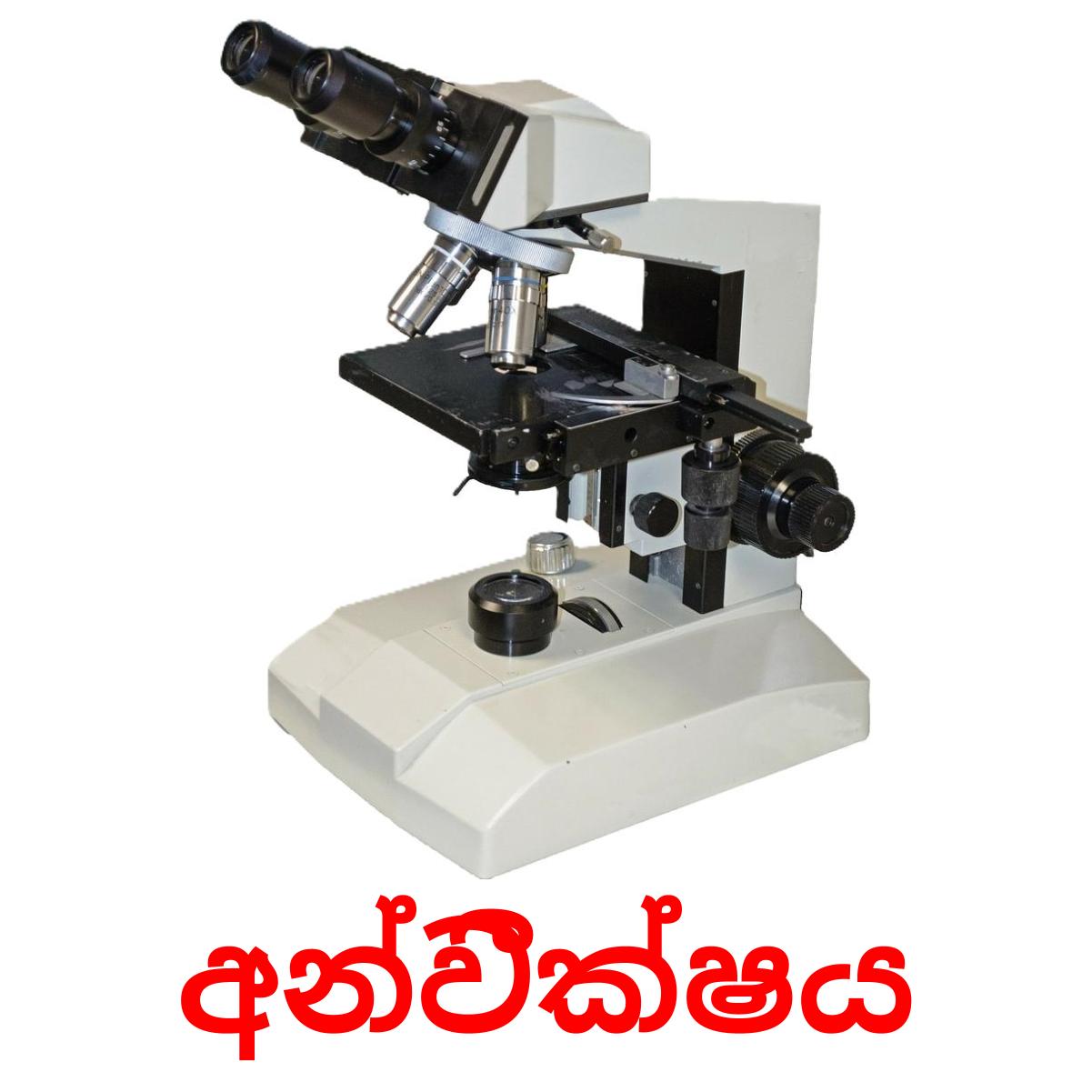 37 Printable Classroom objects Flashcards in Sinhala (Free PDF)