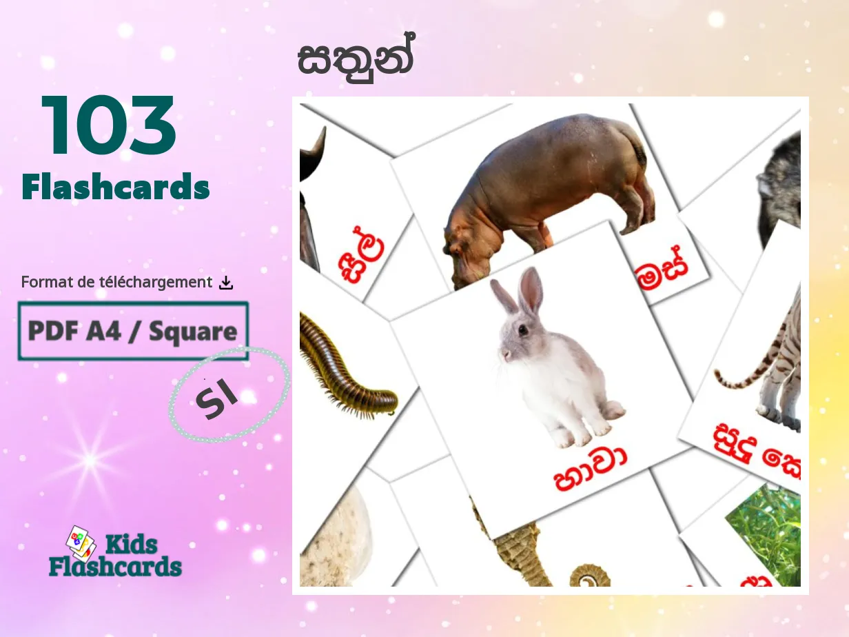 103 Flashcards Animaux GRATUIT à imprimer | PDF | Vocabulaire Cinghalais