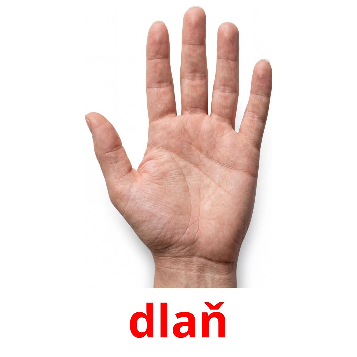 26 Printable Body Parts Flashcards in Slovak (Free PDF)