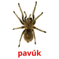 24 Printable Insects Flashcards in Slovak (Free PDF)