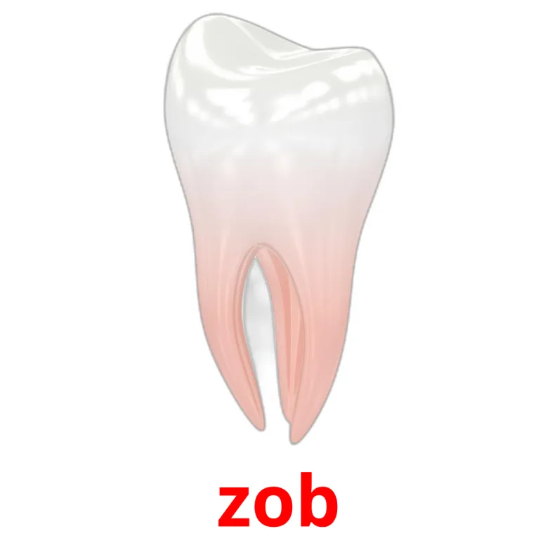 20 Бесплатных Карточек Лицо на Словенском | PDF