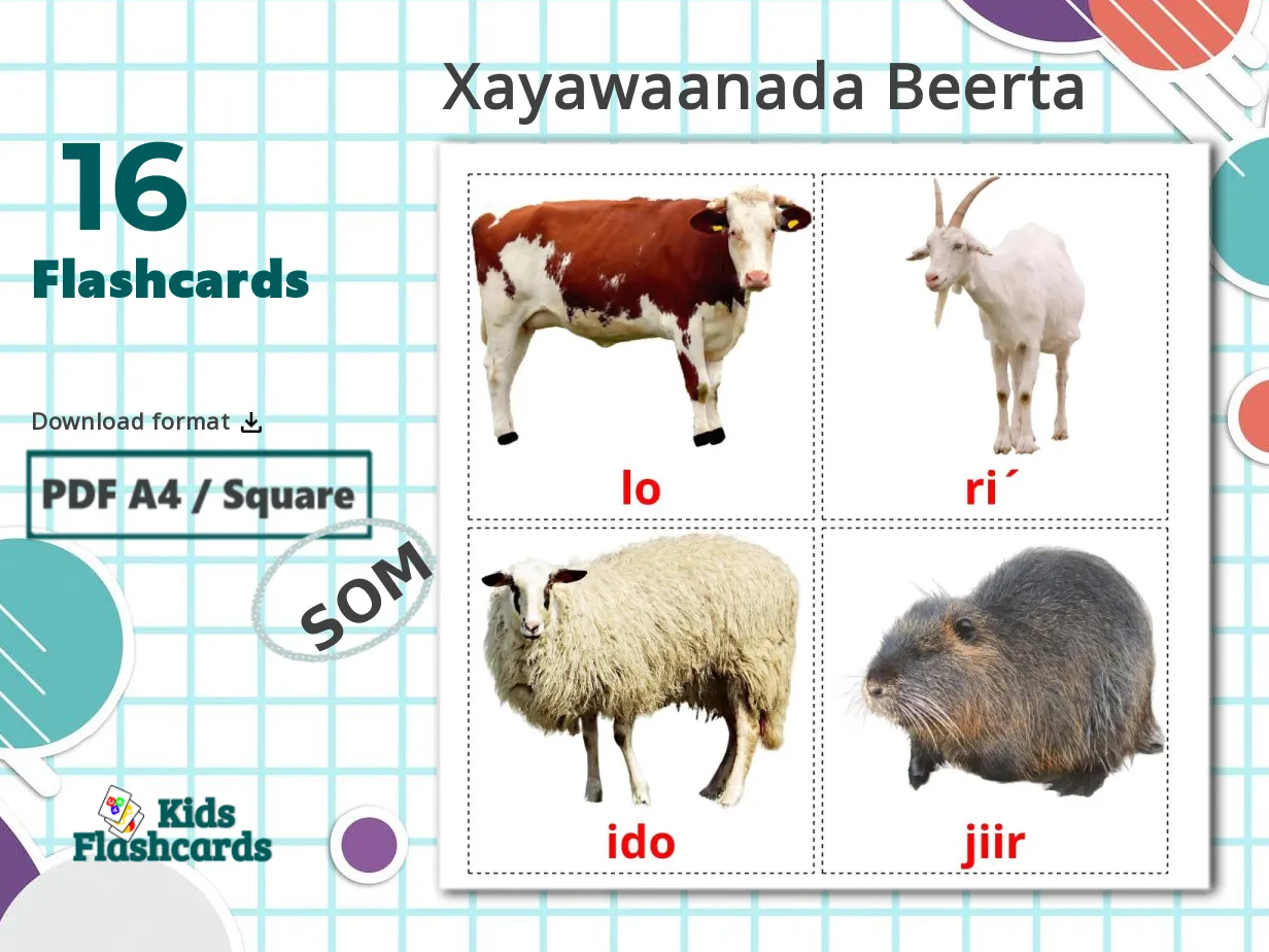 16 Printable Farm animals Flashcards in Somali (Free PDF)