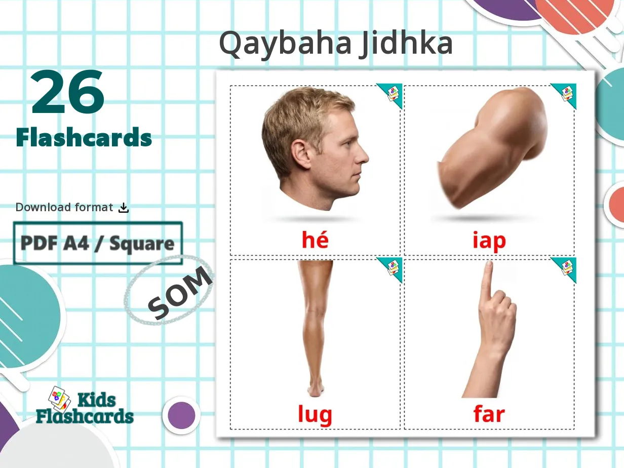 26 Printable Body Parts Flashcards in Somali (Free PDF)