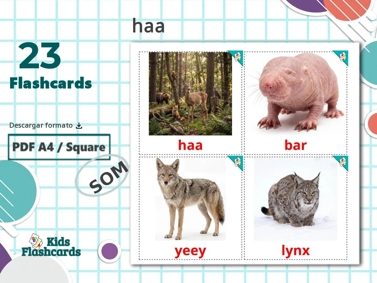 23 Tarjetas de Aprendizaje de Animales del Bosque GRATIS en PDF ...