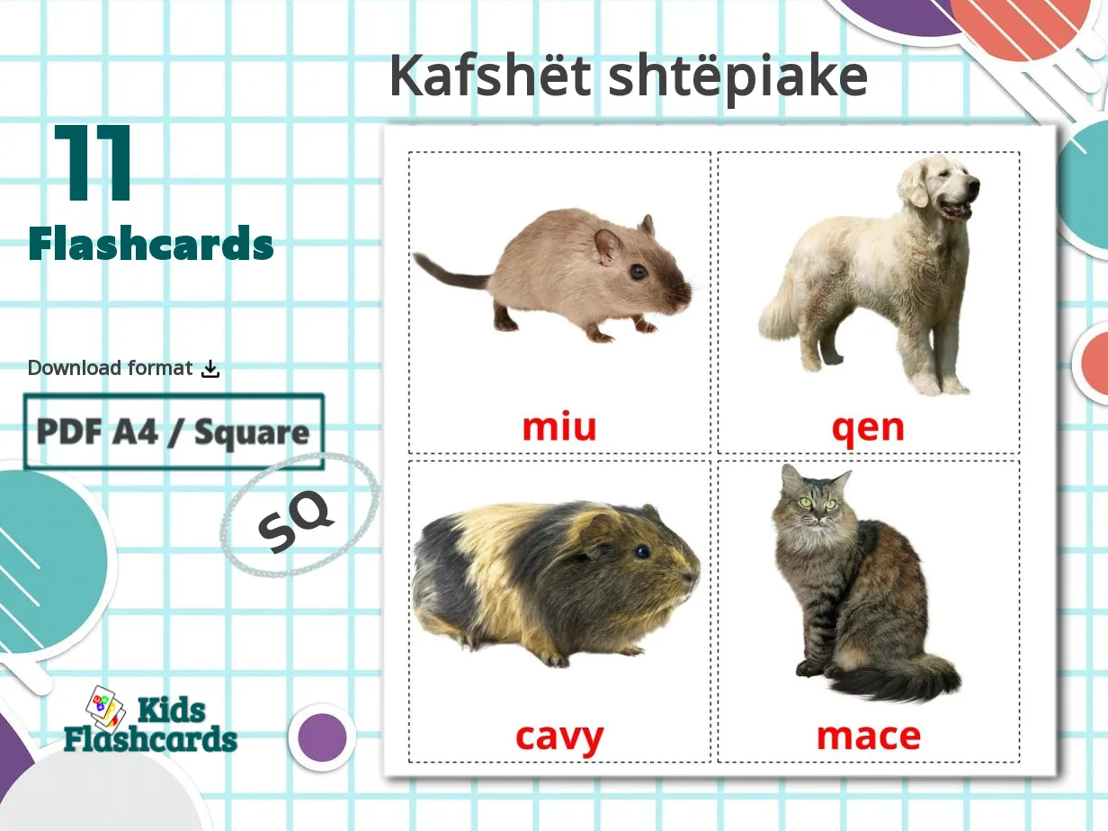 11 Printable Domestic animals Flashcards in Albanian (Free PDF)