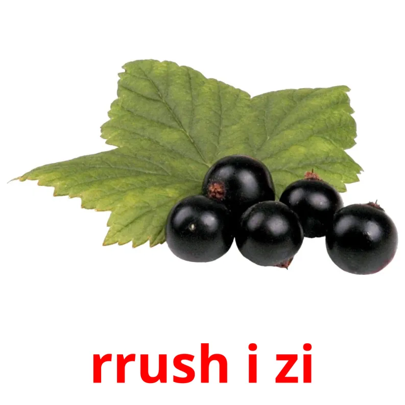 11 FREE Berries Flashcards in 4 PDF formats | Albanian Pictures