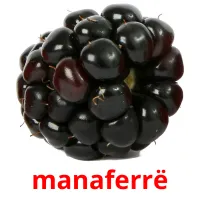 12 FREE Berries Flashcards | PDF | Albanian Words