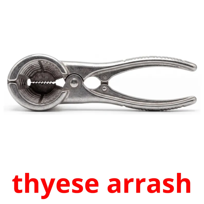 31 FREE Kitchenware Flashcards | PDF | Albanian Words