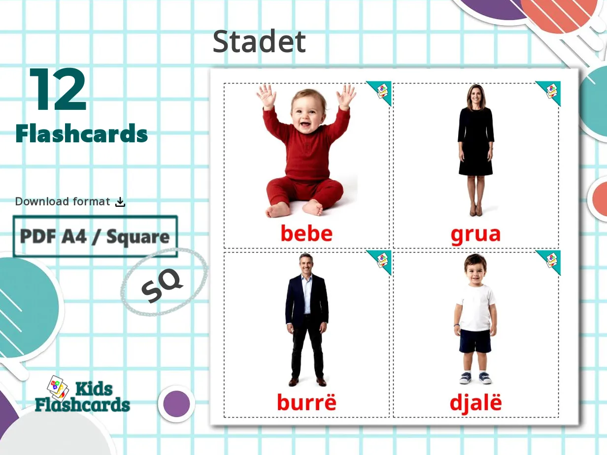 12 Printable Stages Flashcards in Albanian (Free PDF)