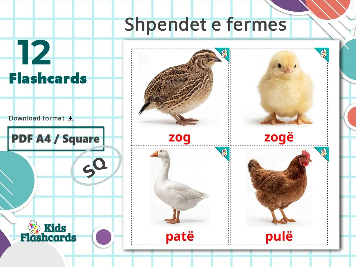 12 Printable Farm birds Flashcards in Albanian (Free PDF)