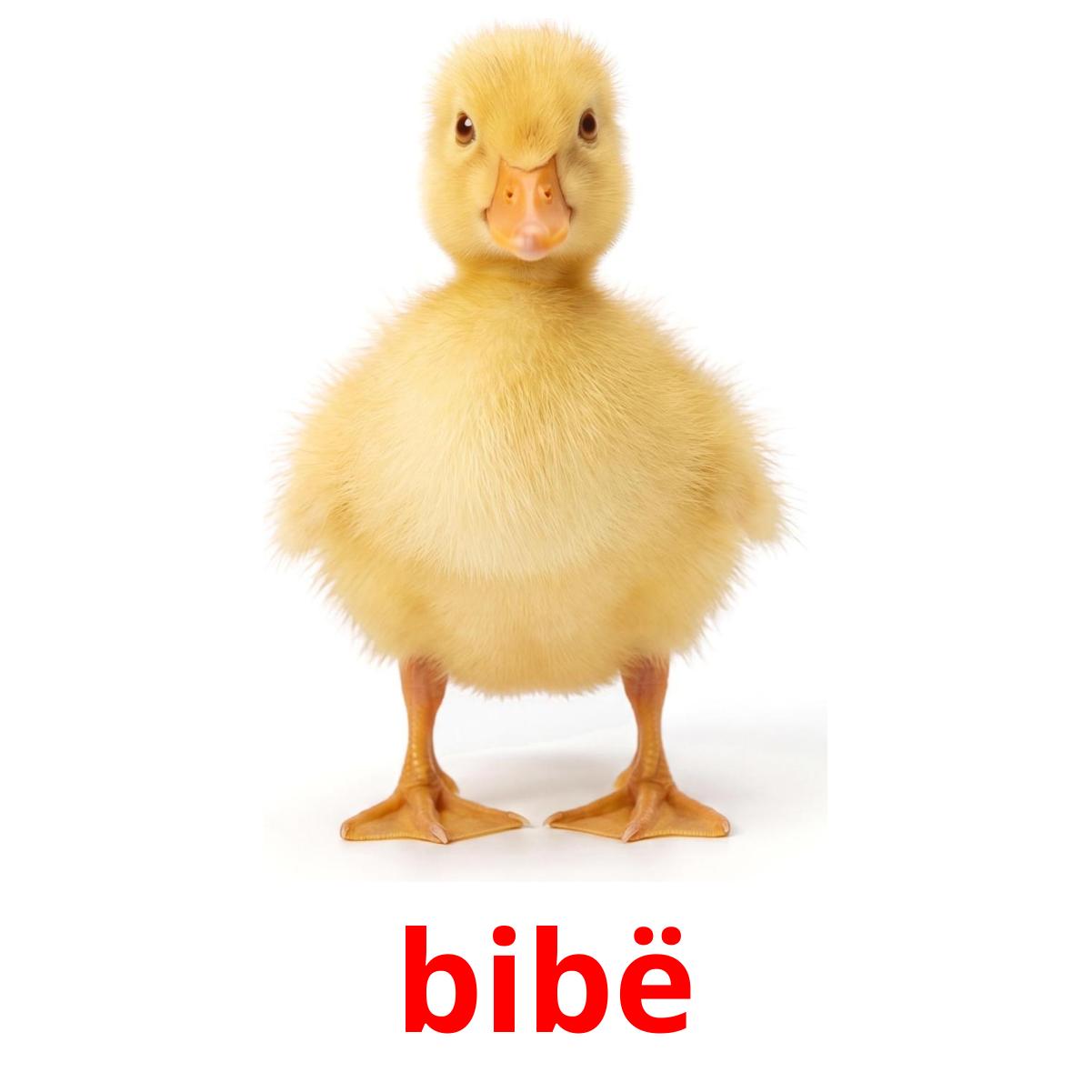 12 Printable Farm birds Flashcards in Albanian (Free PDF)