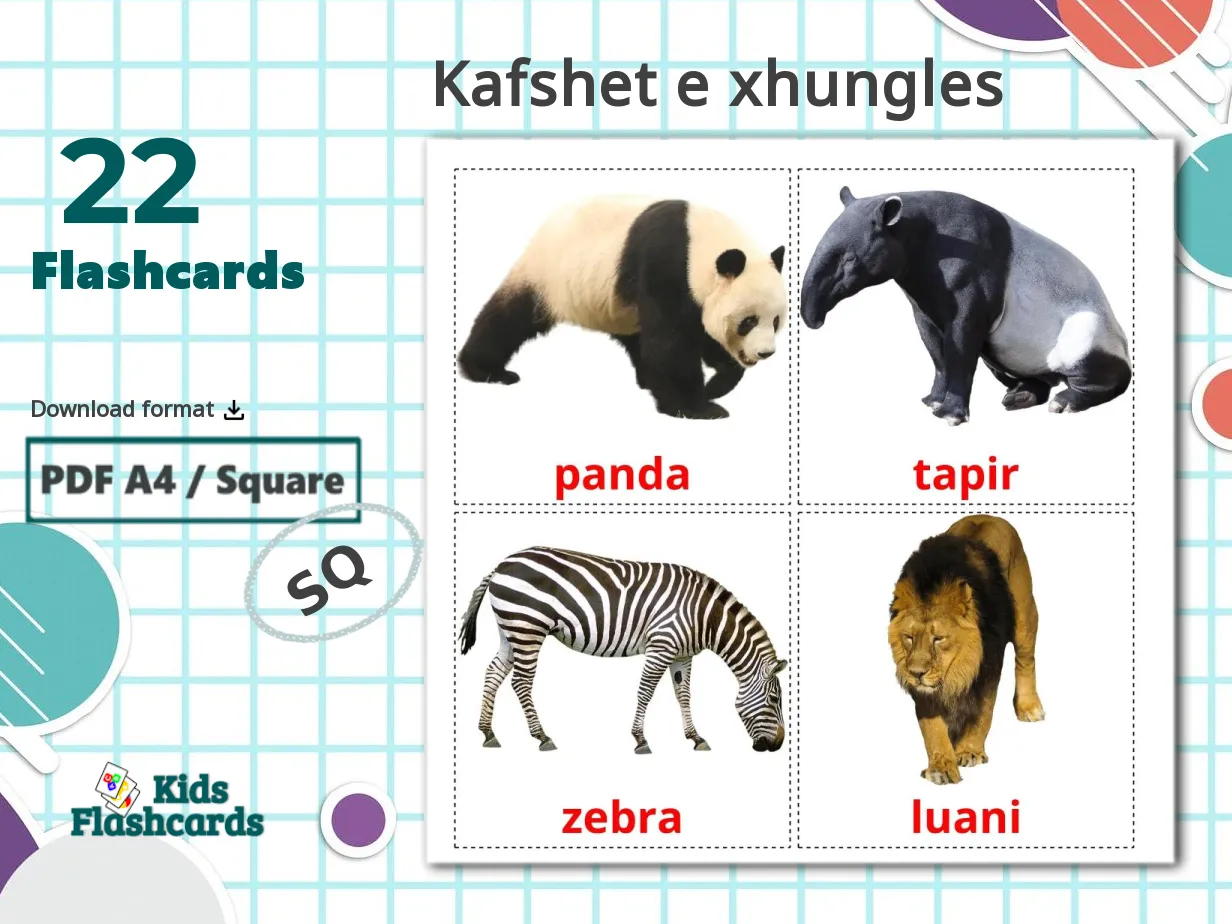 22 Printable Jungle animals Flashcards in Albanian (Free PDF)