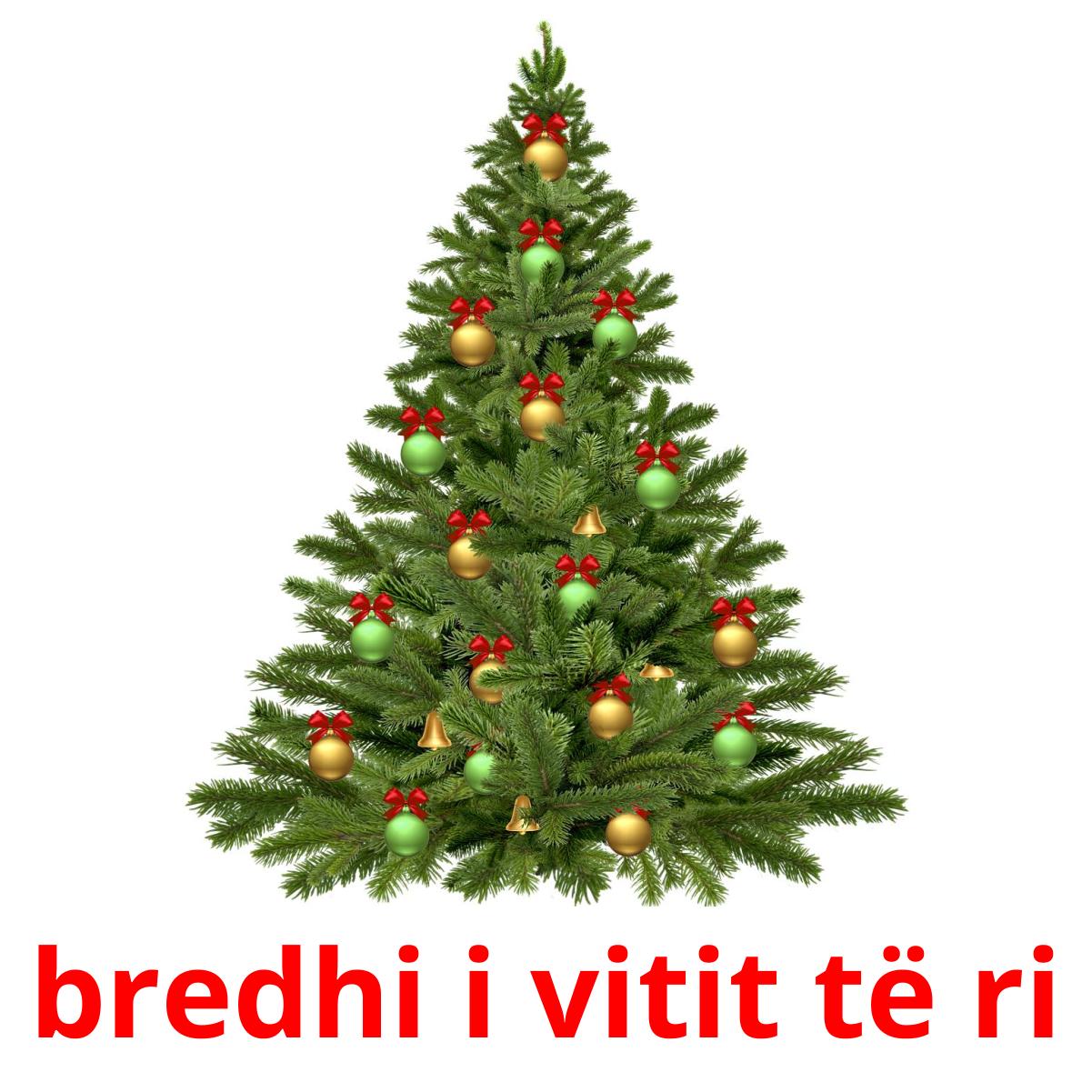 29 Tarjetas de Aprendizaje de Navidad GRATIS en PDF | Imágenes en Albanés