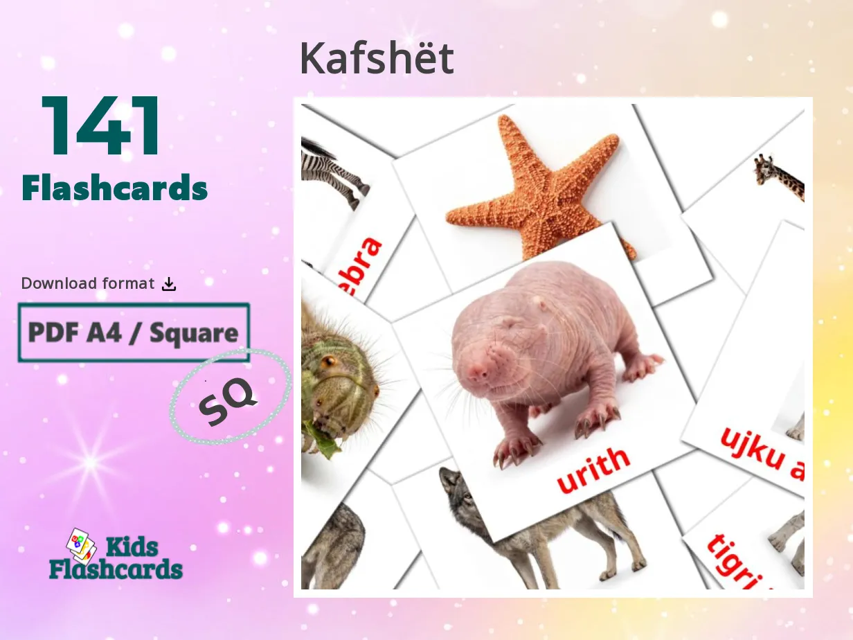 141 FREE Albanian Animals Flashcards | PDF