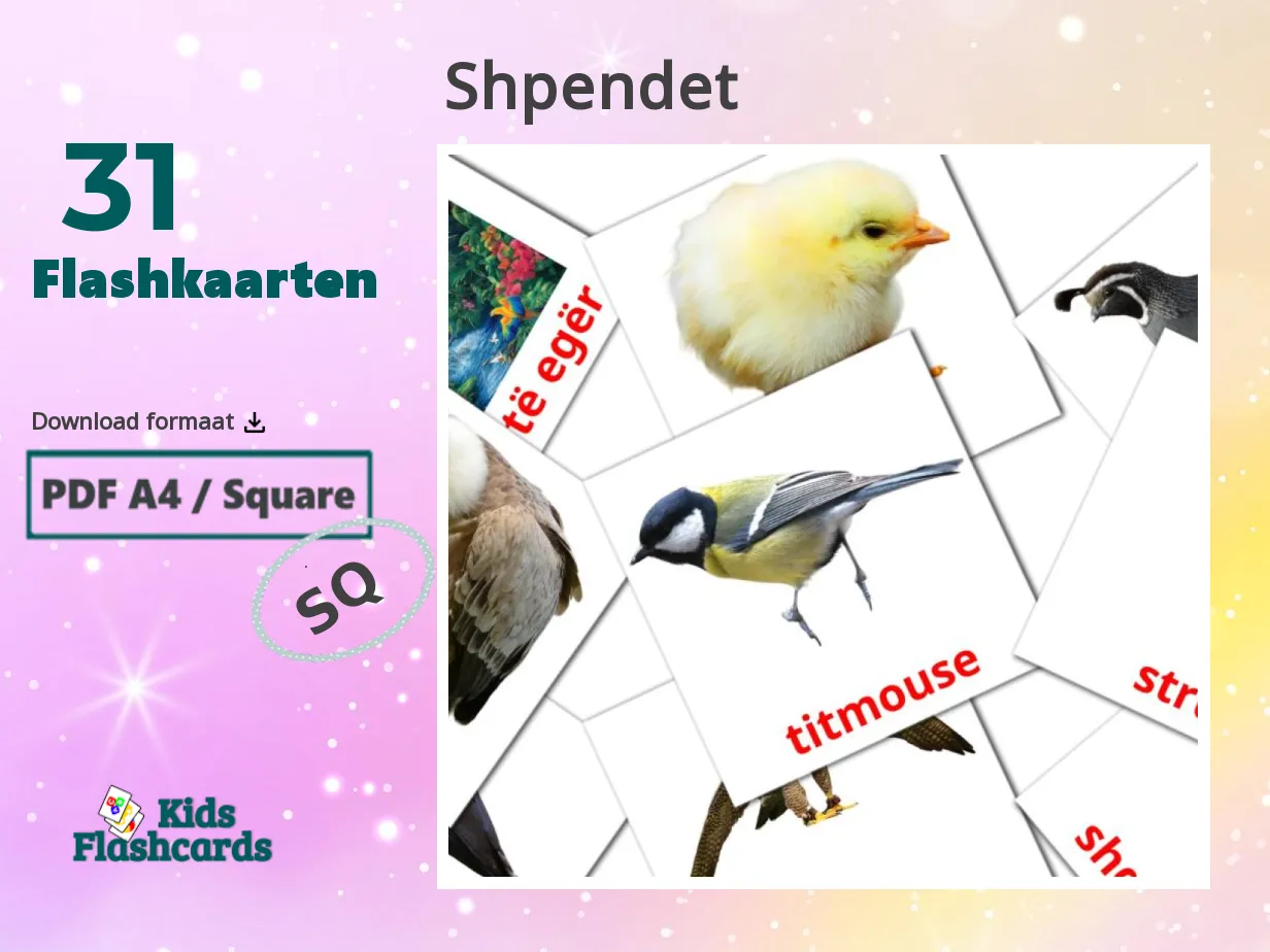 31 GRATIS Vogels Flashcards in het Albanese | 4 Printbare PDF's