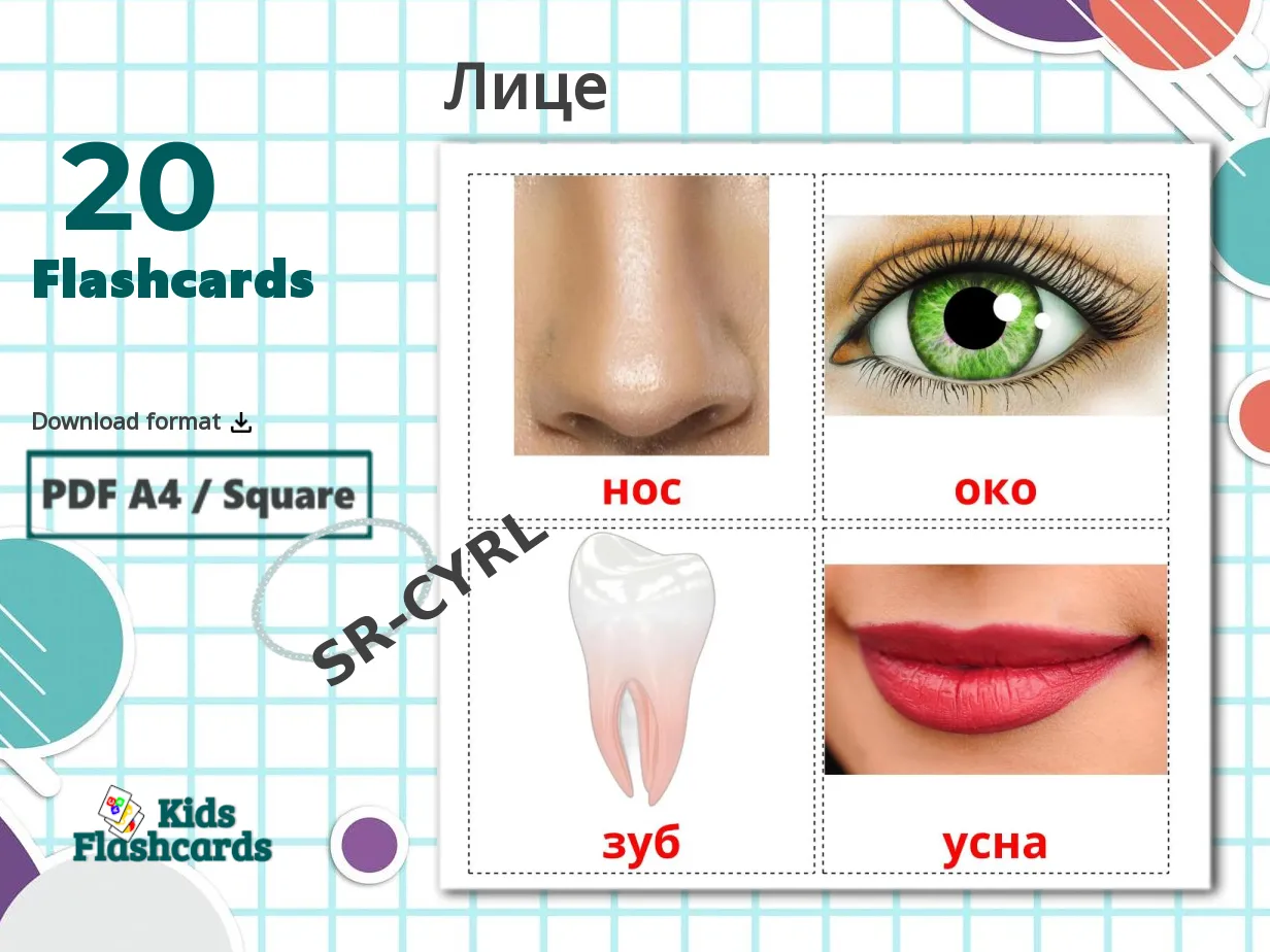 20 Printable Face Flashcards in Serbian(cyrillic) (Free PDF)