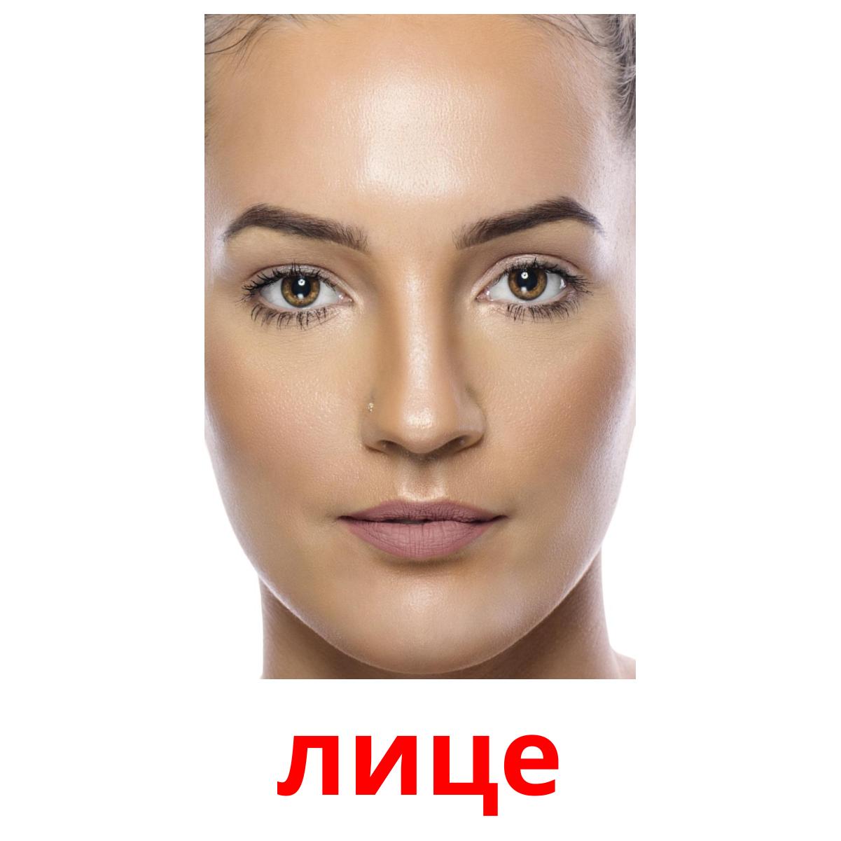 20 Printable Face Flashcards in Serbian(cyrillic) (Free PDF)