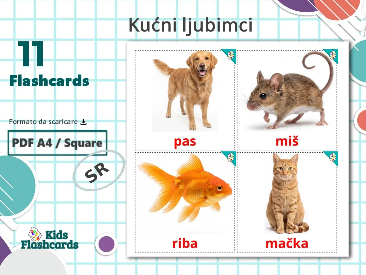 11 Flashcard GRATUITE sui Animali Domestici in 4 Formati PDF | Immagini ...
