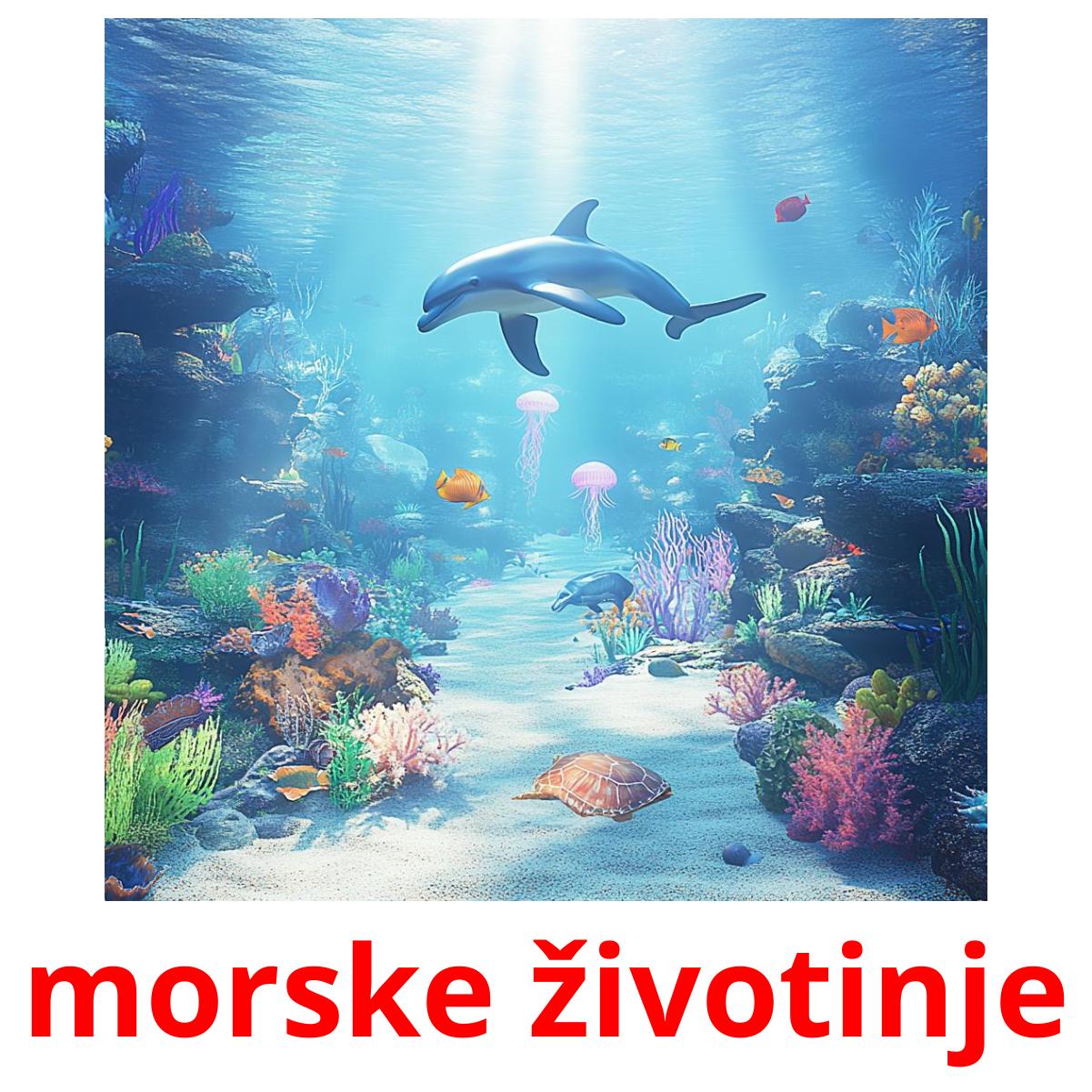 30 FREE Sea animals Flashcards | PDF | Serbian Words