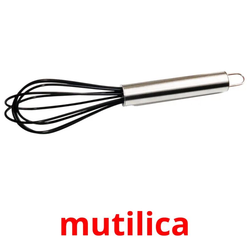 31 Бесплатная Карточка Посуда на Сербском | PDF