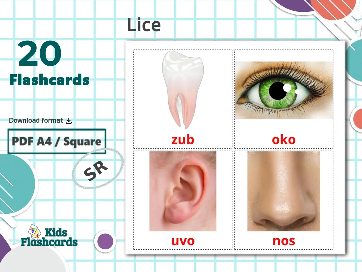 20 Printable Face Flashcards in Serbian (Free PDF)